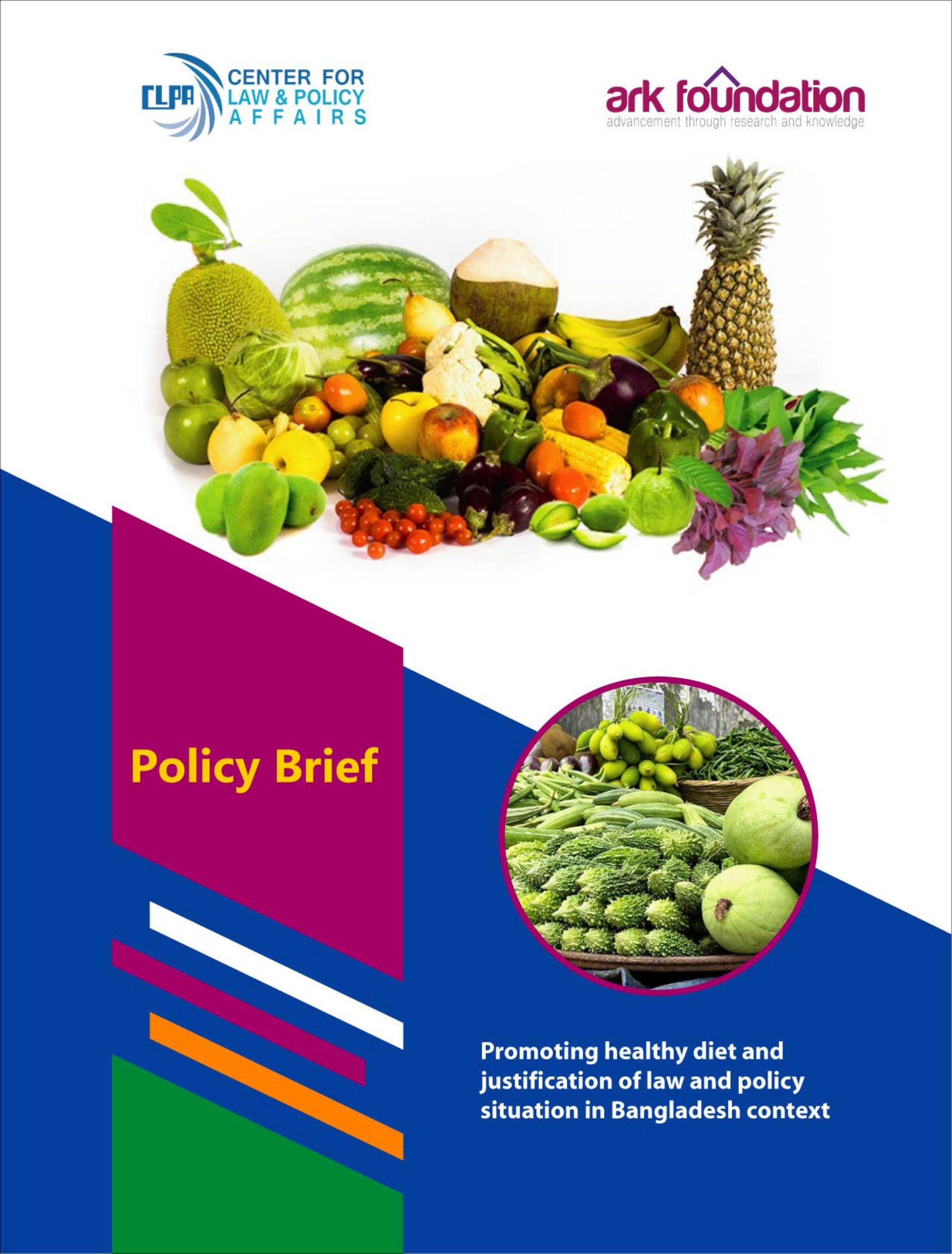 Publication - Center for Law and Policy Affairs